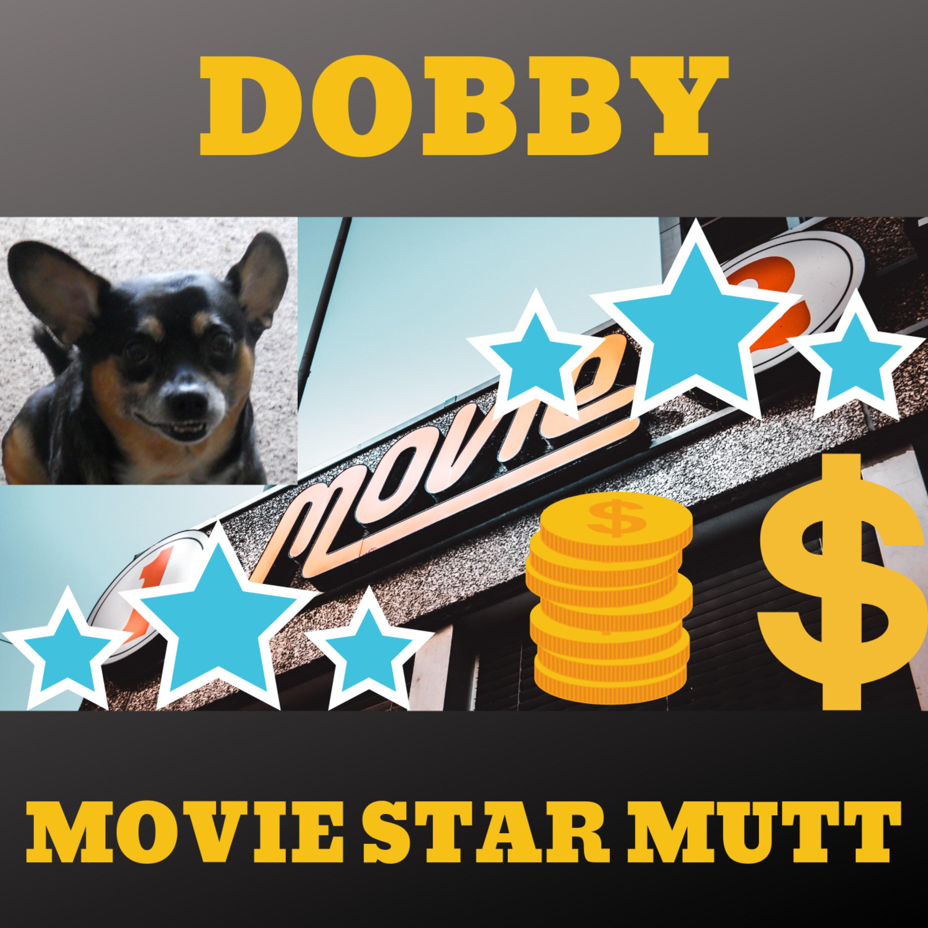 Dobby - Movie Star Mutt Lyrics - Follow Lyrics